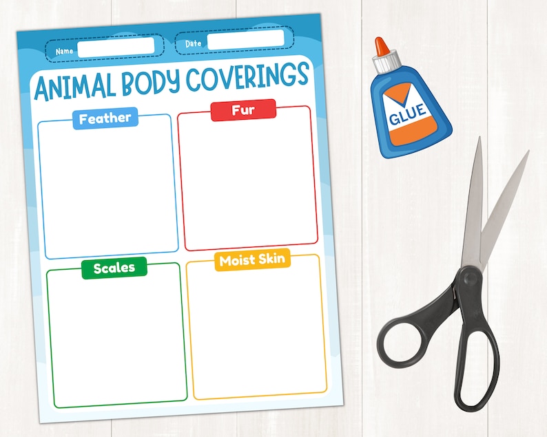 Animal Body Coverings Sorting Activity | Scales, Feathers, Fur, and ...