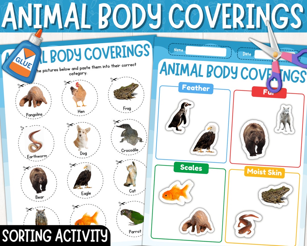 Animal Body Coverings Sorting Activity | Scales, Feathers, Fur, and ...