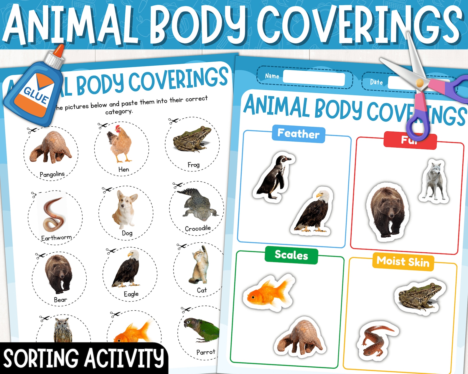 Animal Body Coverings Sorting Activity | Scales, Feathers, Fur, and ...