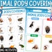 Animal Body Coverings Sorting Activity | Scales, Feathers, Fur, and ...