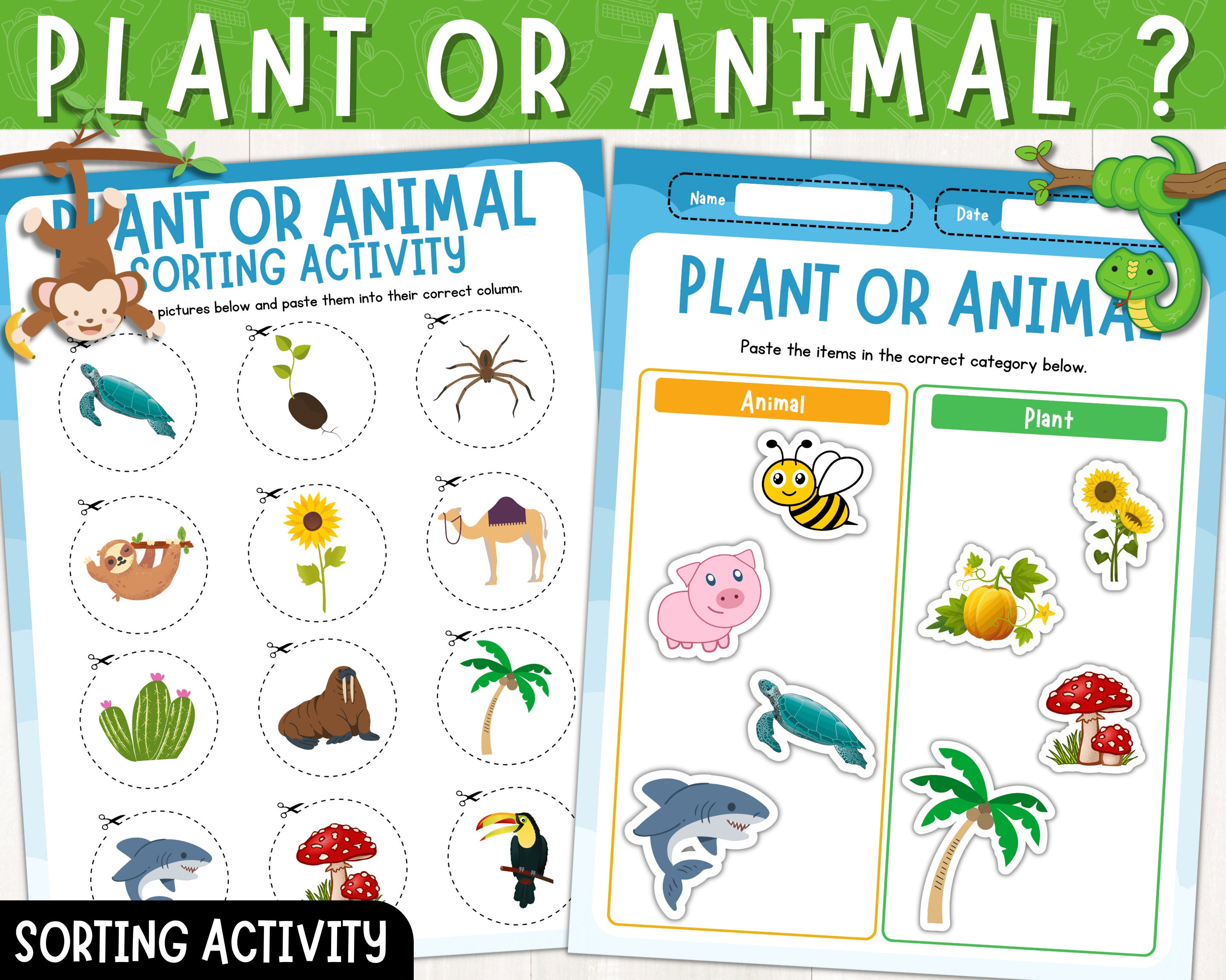 Animal Sorting Cards