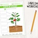 Parts of a Plant Science Activities Printable Plant Labeling Worksheets ...