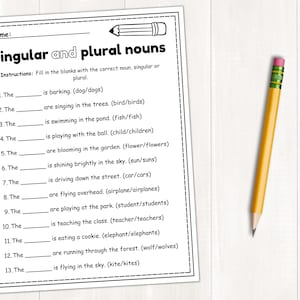 Singular and Plural Nouns Worksheets & Activities | Grammar Worksheets ...