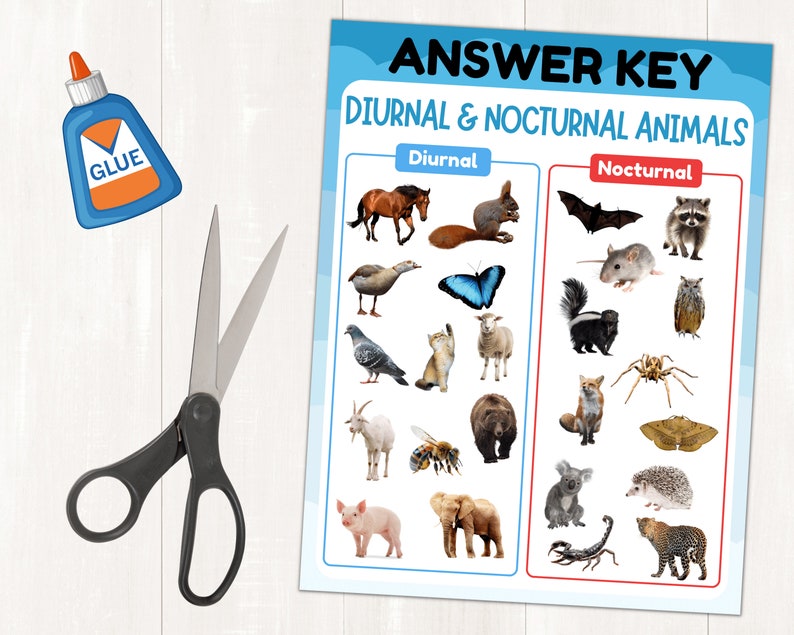 Nocturnal and Diurnal Animals Sorting Activity | Printable | Real ...