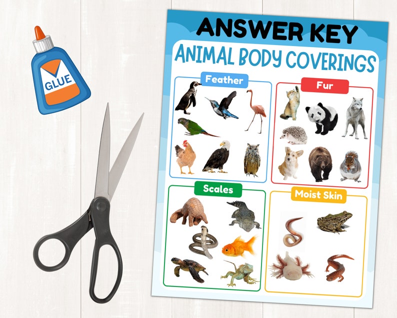 Animal Body Coverings Sorting Activity | Scales, Feathers, Fur, and ...