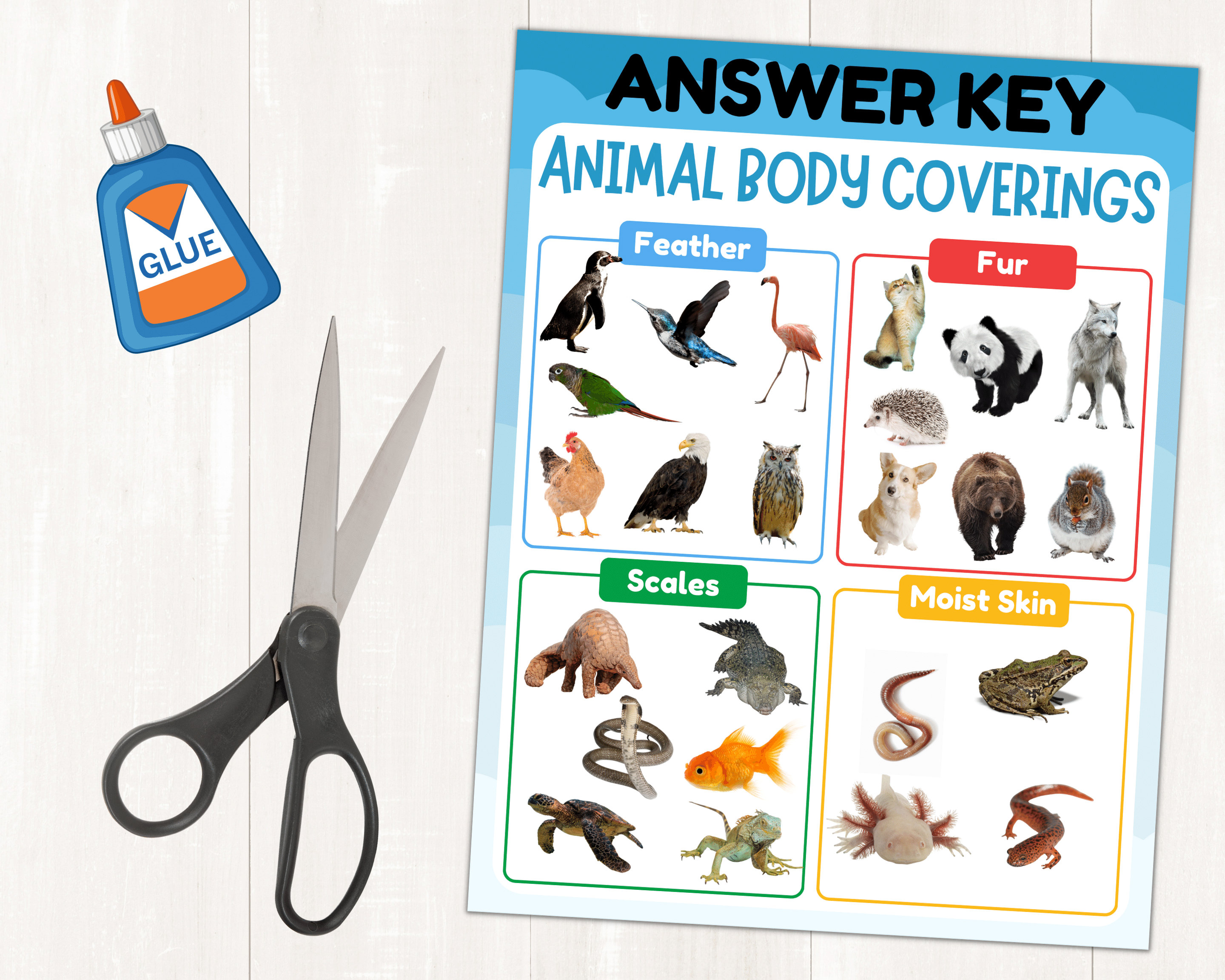 Animal Body Coverings Sorting Activity | Scales, Feathers, Fur, and ...