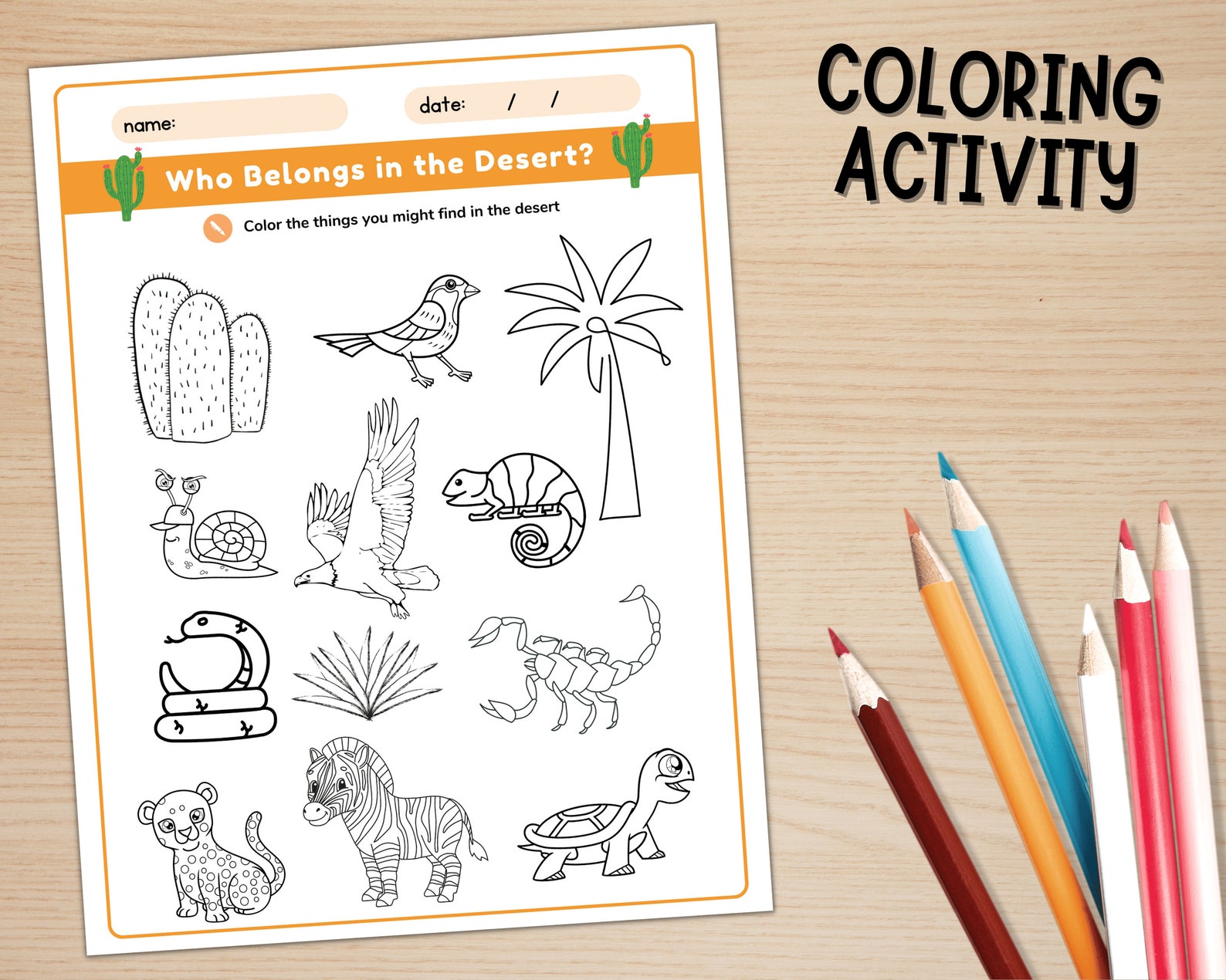 Printable Desert Worksheets for Kids | Desert Animals Activities ...
