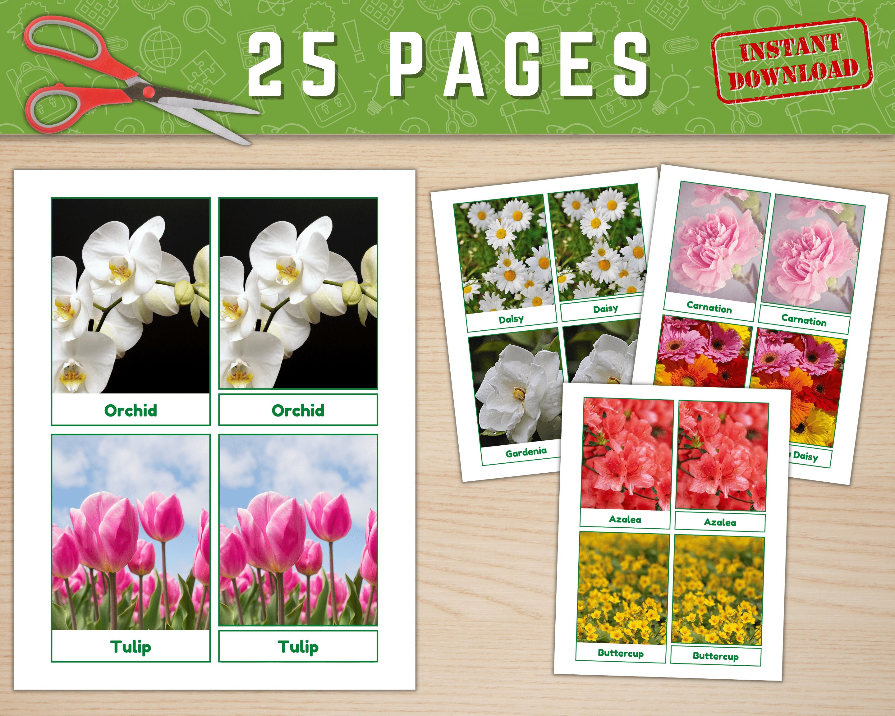 Flowers Printable Montessori 3-part Cards Types of Flowers Flashcards ...