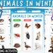 Animals in Winter: Hibernate, Migrate, and Adapt | Animals Sorting ...