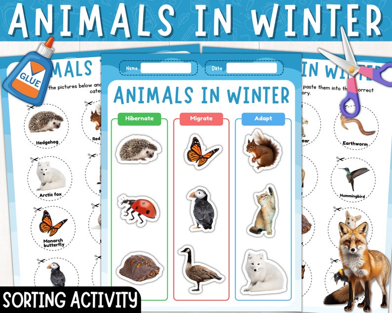Animals in Winter: Hibernate, Migrate, and Adapt | Animals Sorting ...