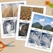 Printable Natural Disasters Flashcards, Types of Natural Disasters ...
