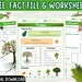 Parts of a Tree Labeling Activity Tree Life Cycle Worksheet Tree Fact ...