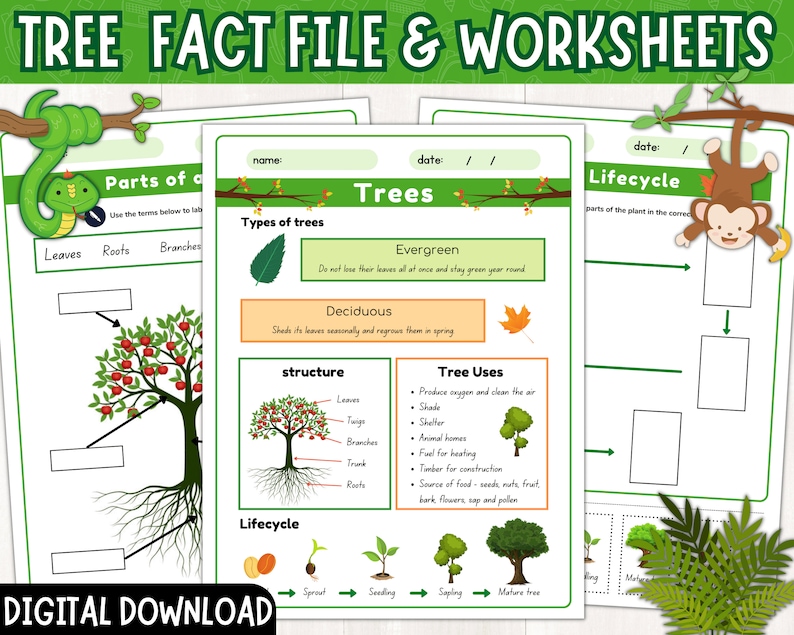 Parts of a Tree Labeling Activity | Tree Life Cycle Worksheet | Tree ...
