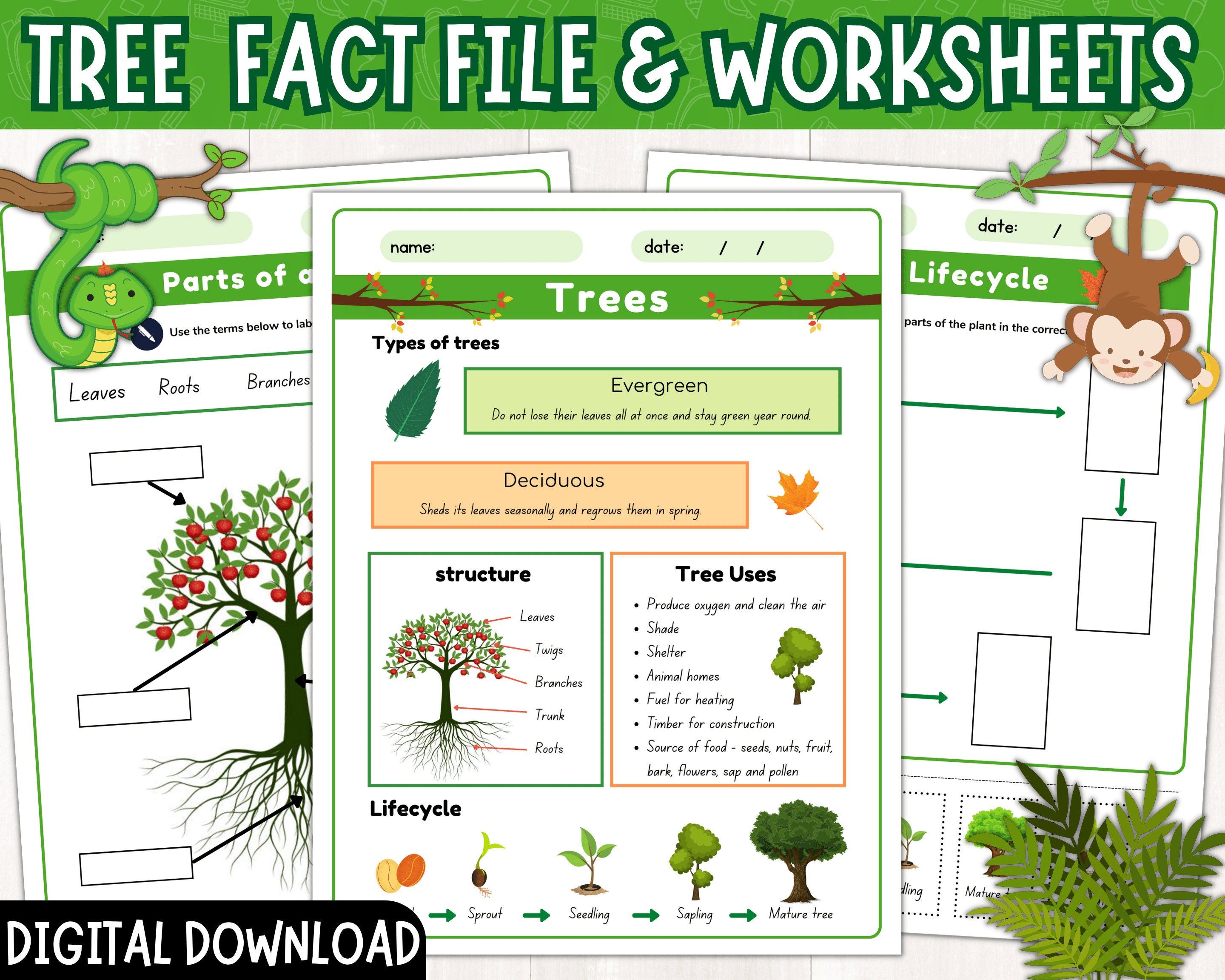 Parts of a Tree Labeling Activity | Tree Life Cycle Worksheet | Tree ...