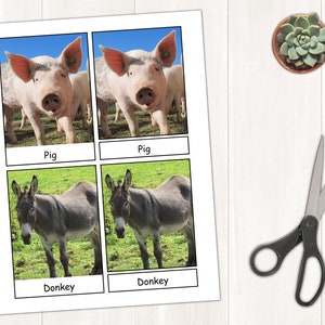 Farm Animals Montessori 3-part Cards | Farm Animal Flashcards With Real ...