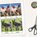 Farm Animals Montessori 3-part Cards | Farm Animal Flashcards With Real ...