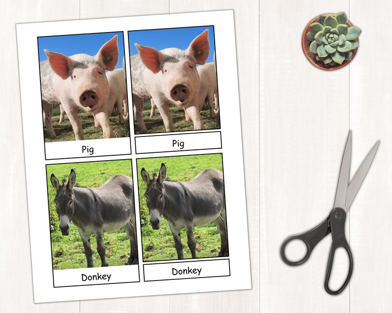 Farm Animals Montessori 3-part Cards | Farm Animal Flashcards With Real ...