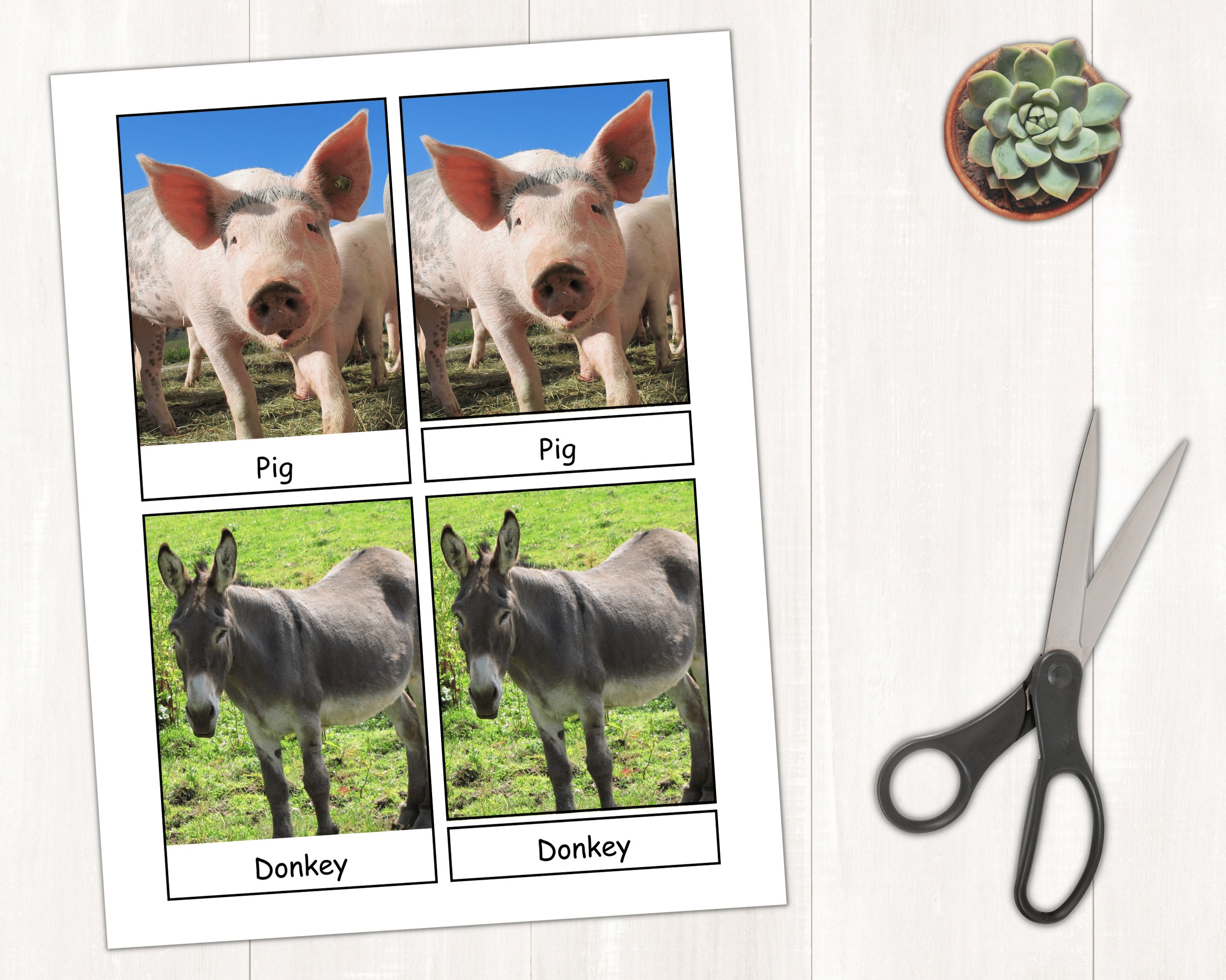 Farm Animals Montessori 3-part Cards | Farm Animal Flashcards With Real ...