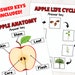 Printable Apple Activity Pack for Kids | Apple Fall Worksheets | Apple ...