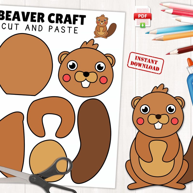 Canadian Beaver - Etsy