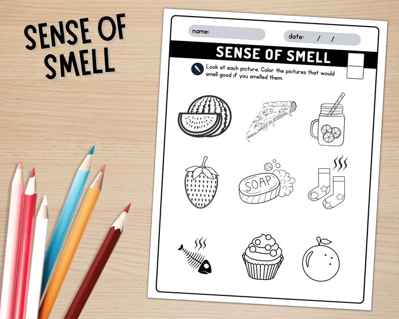 My Five Senses Activities Worksheets, 5 Senses Coloring Sheets ...