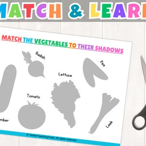 Fruit & Vegetable Shadow Matching Activity, Learn Fruits Veggies Names ...