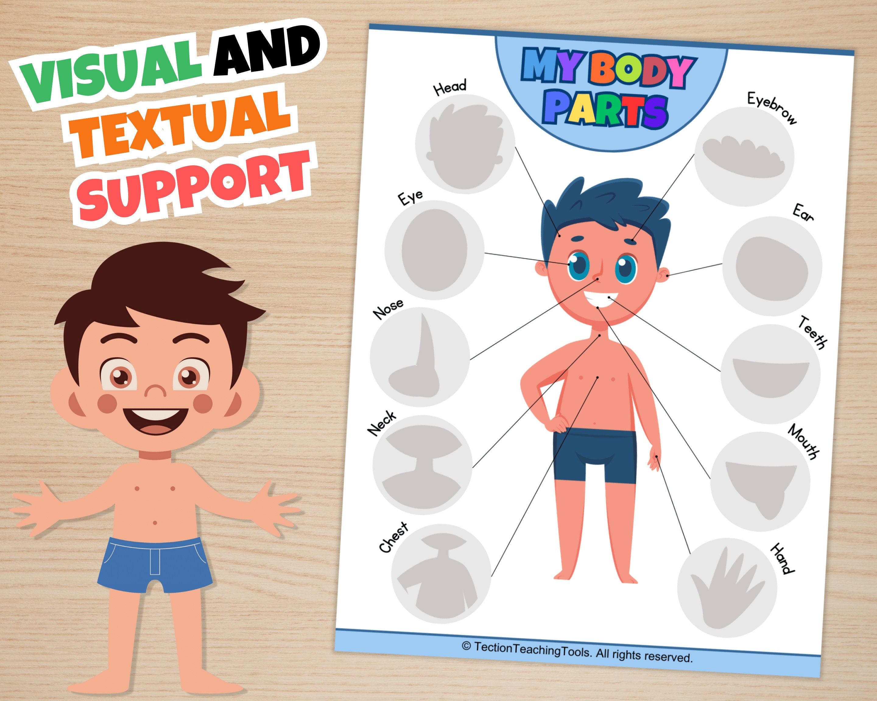 Body Parts Matching Activity | Preschool Activity | Parts of the Body ...