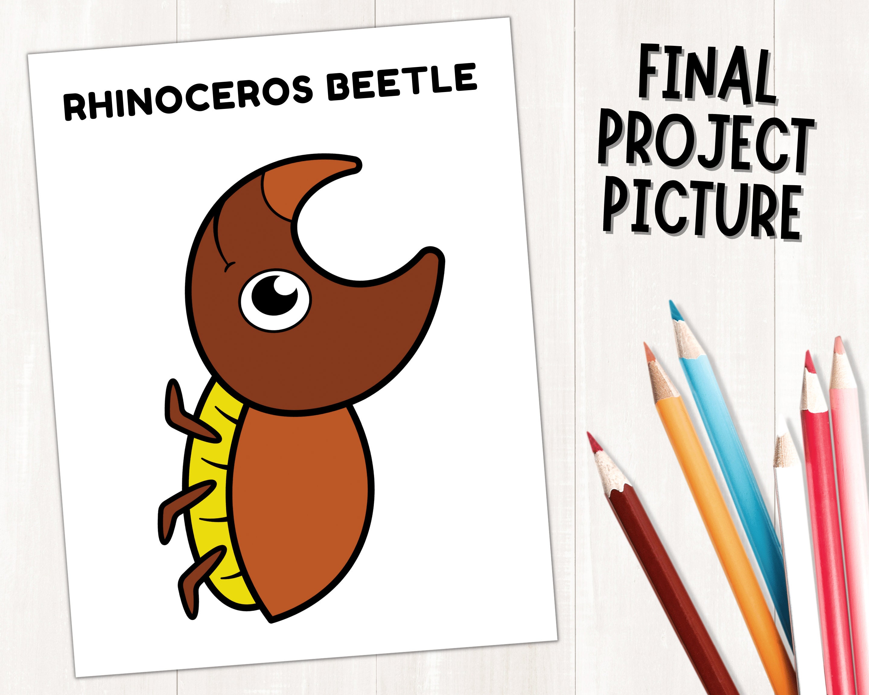 Rhinoceros Beetle Craft Insect Craft Activity Rhino Beetle - Etsy