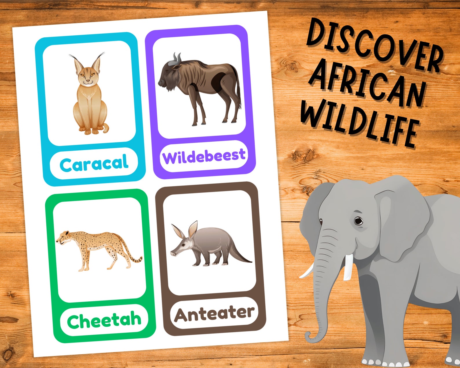 African Animals Printable Flashcards | African Animal Learning Cards ...