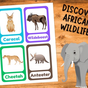 African Animals Printable Flashcards | African Animal Learning Cards ...