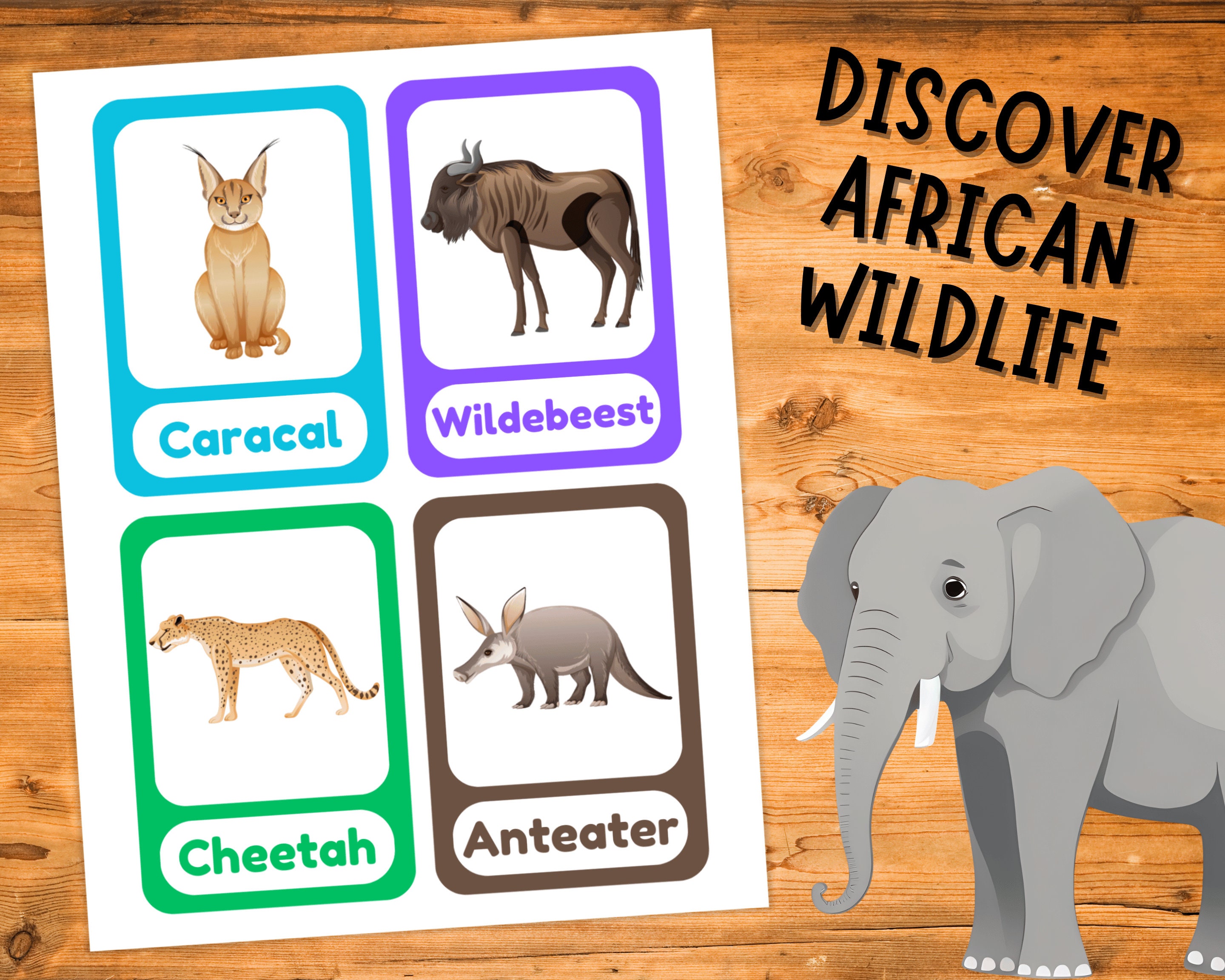 African Animals Printable Flashcards | African Animal Learning Cards ...