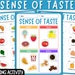 Sense of Taste Sorting Activity Sorting Food Based on Taste Activity ...