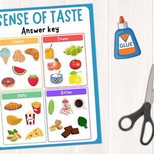 Sense of Taste Sorting Activity | Sorting Food Based on Taste Activity ...