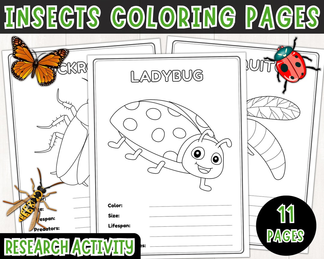 Printable Insects Coloring Pages for Kids, Insects Research Activity ...
