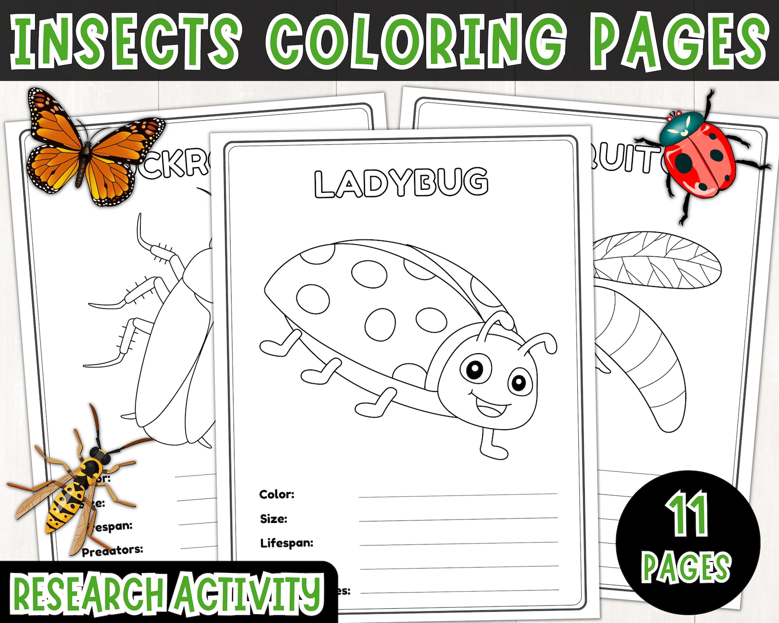 Printable Insects Coloring Pages for Kids, Insects Research Activity ...