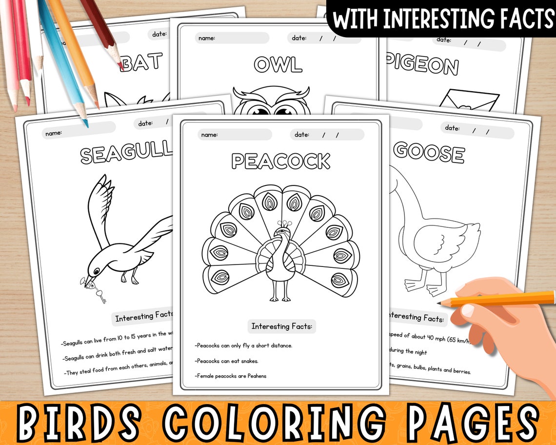 Printable Birds Coloring Pages With Interesting Facts, Flying Animals ...