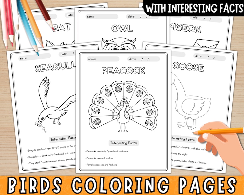 Printable Birds Coloring Pages With Interesting Facts, Flying Animals ...
