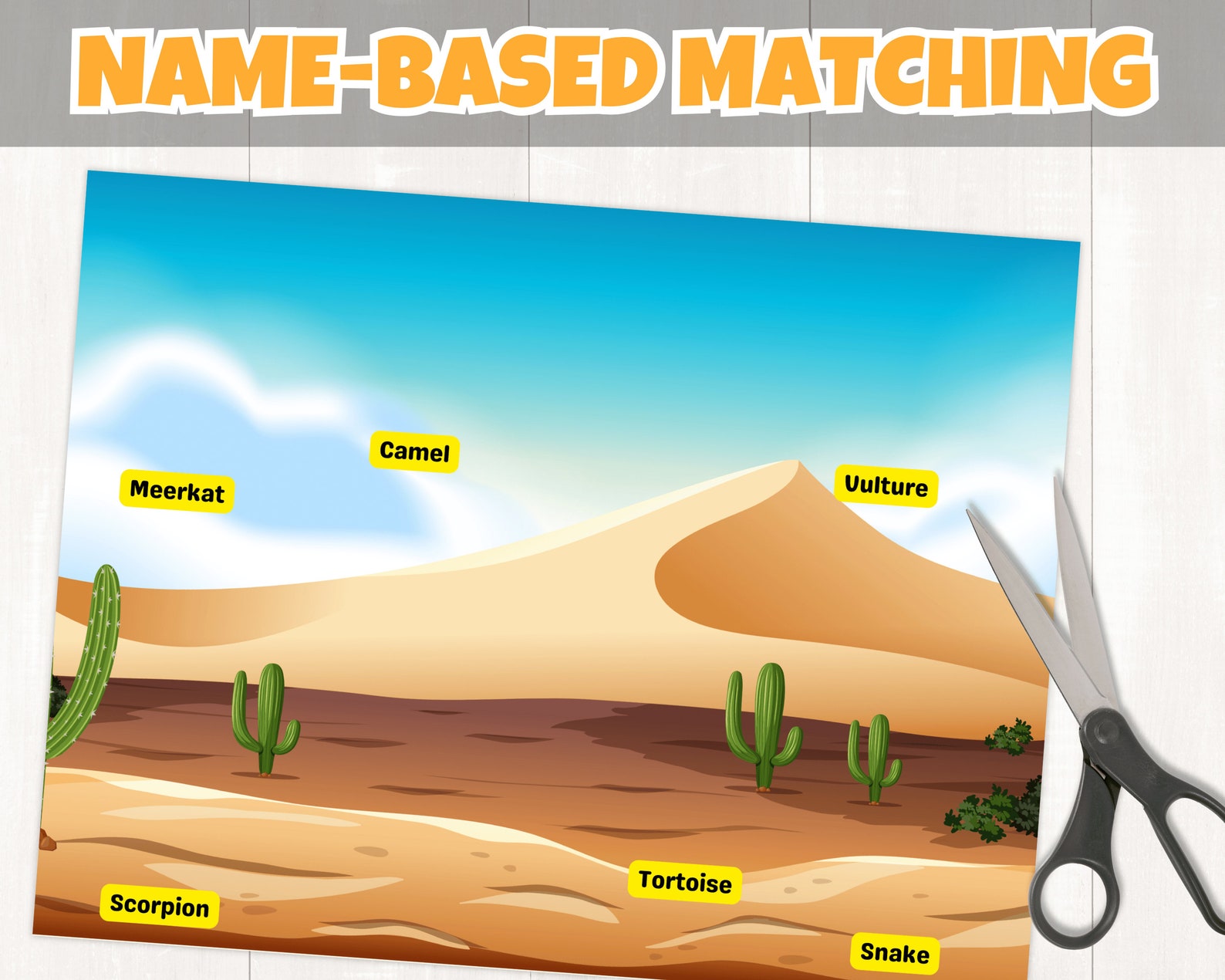 Animal Habitats Matching Activity | Animals and Their Habitats Matching ...