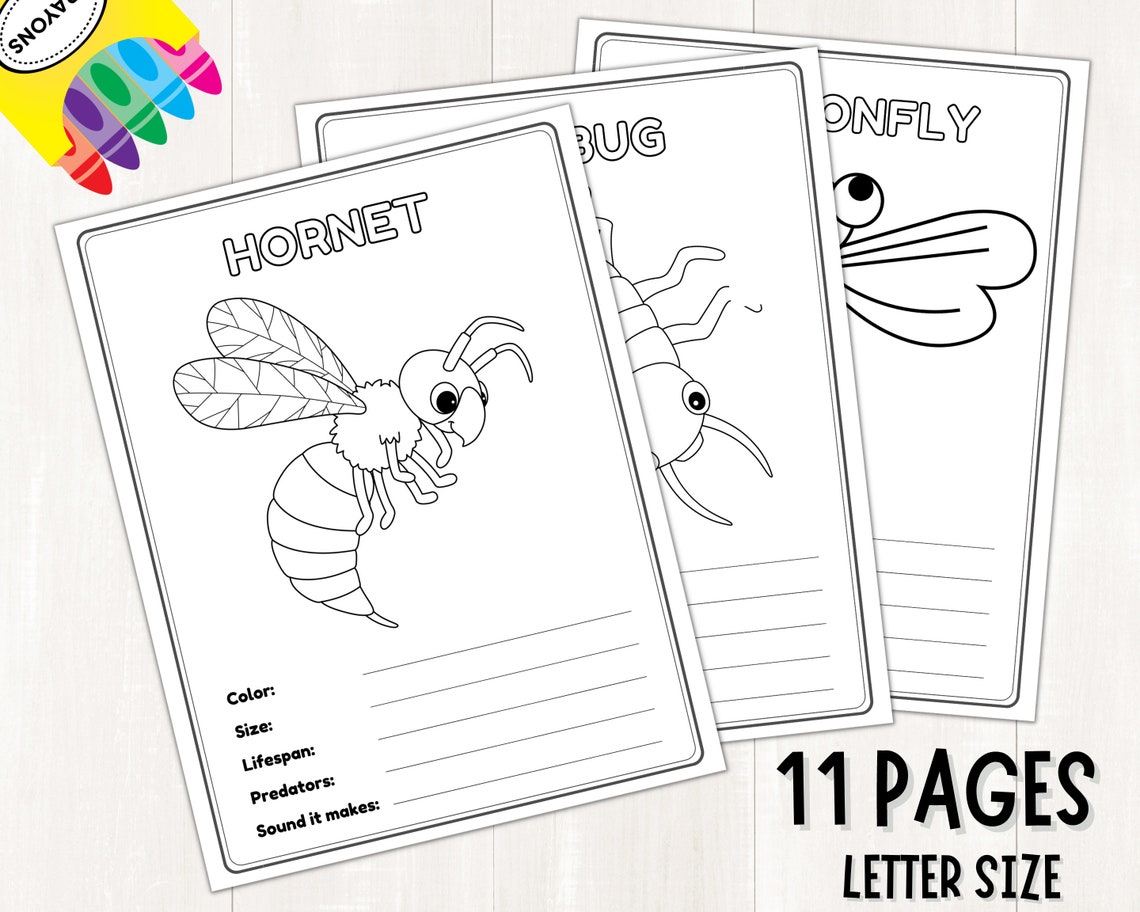 Printable Insects Coloring Pages for Kids, Insects Research Activity ...