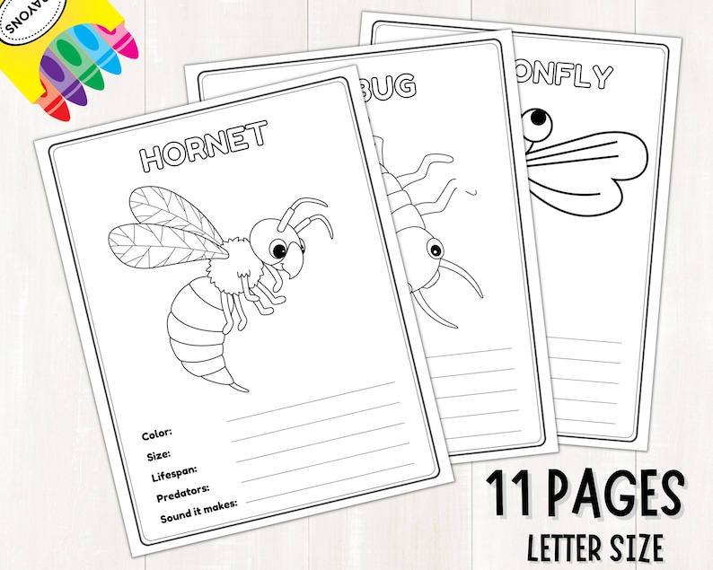 Printable Insects Coloring Pages for Kids, Insects Research Activity ...