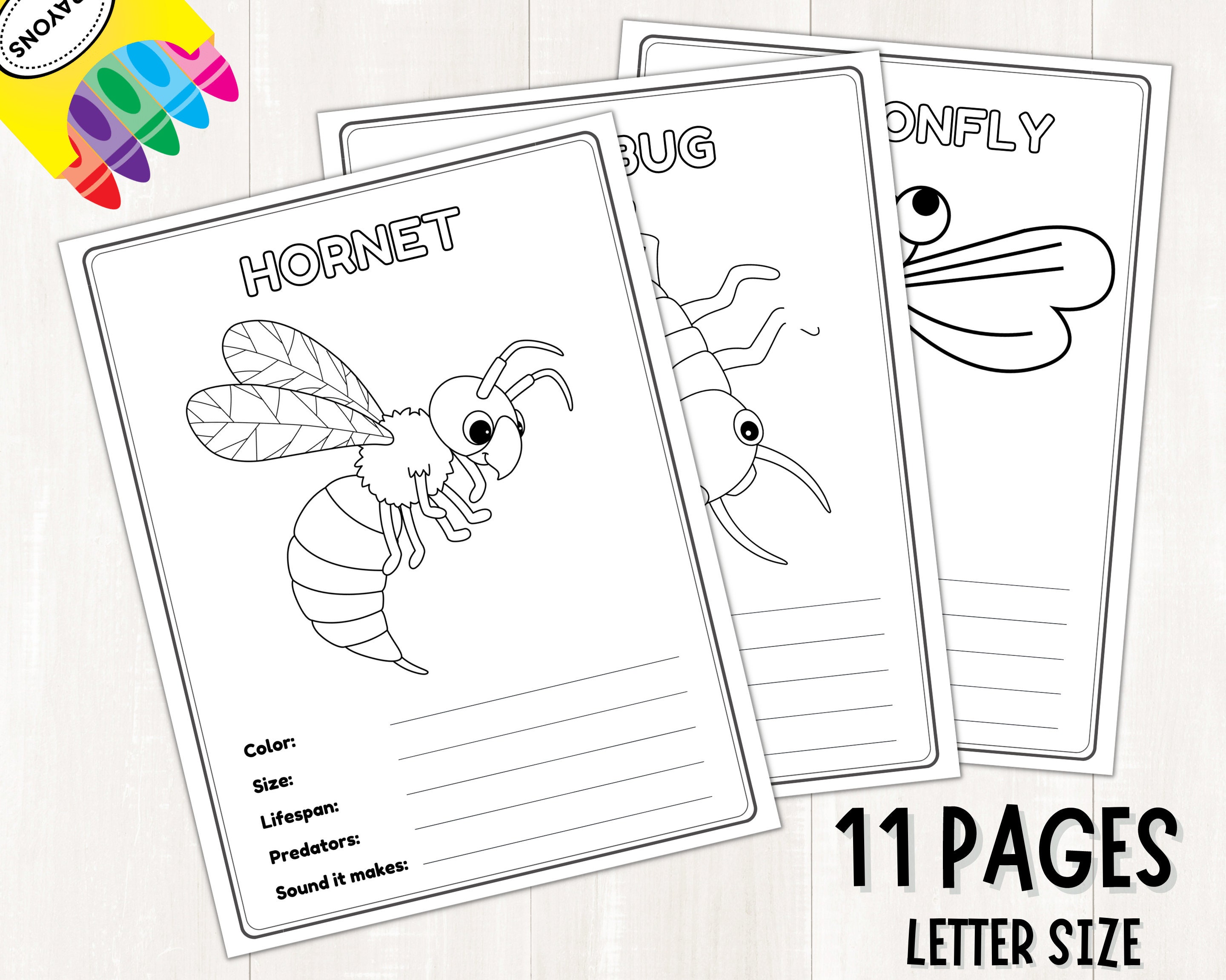 Printable Insects Coloring Pages for Kids, Insects Research Activity ...