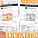 Human Skin Parts Labeling Worksheet | Anatomy of the Skin | Parts of ...