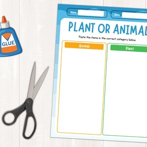 Plant or Animal Sorting Activity | Plant and Animal Printable ...