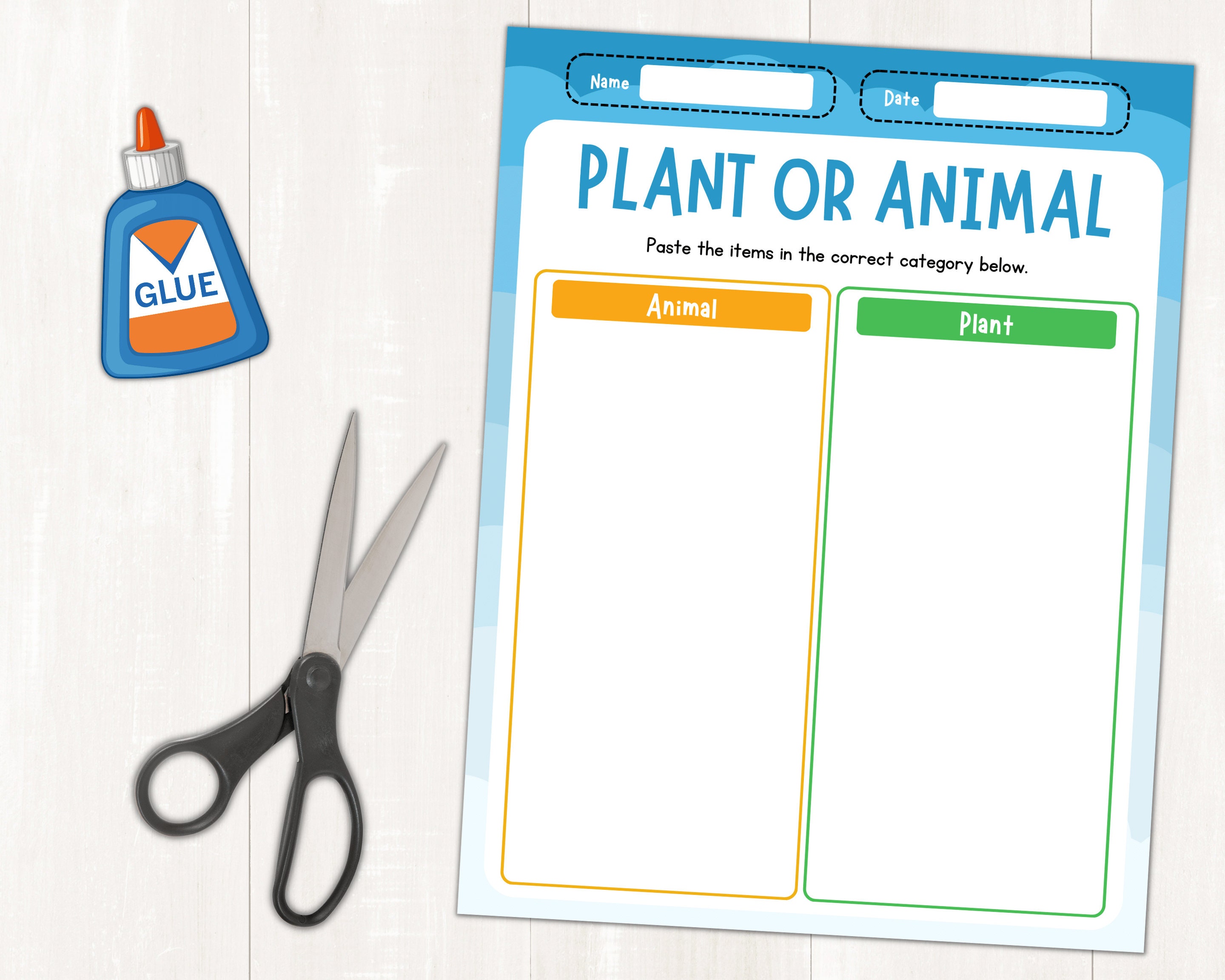 Plant or Animal Sorting Activity | Plant and Animal Printable ...
