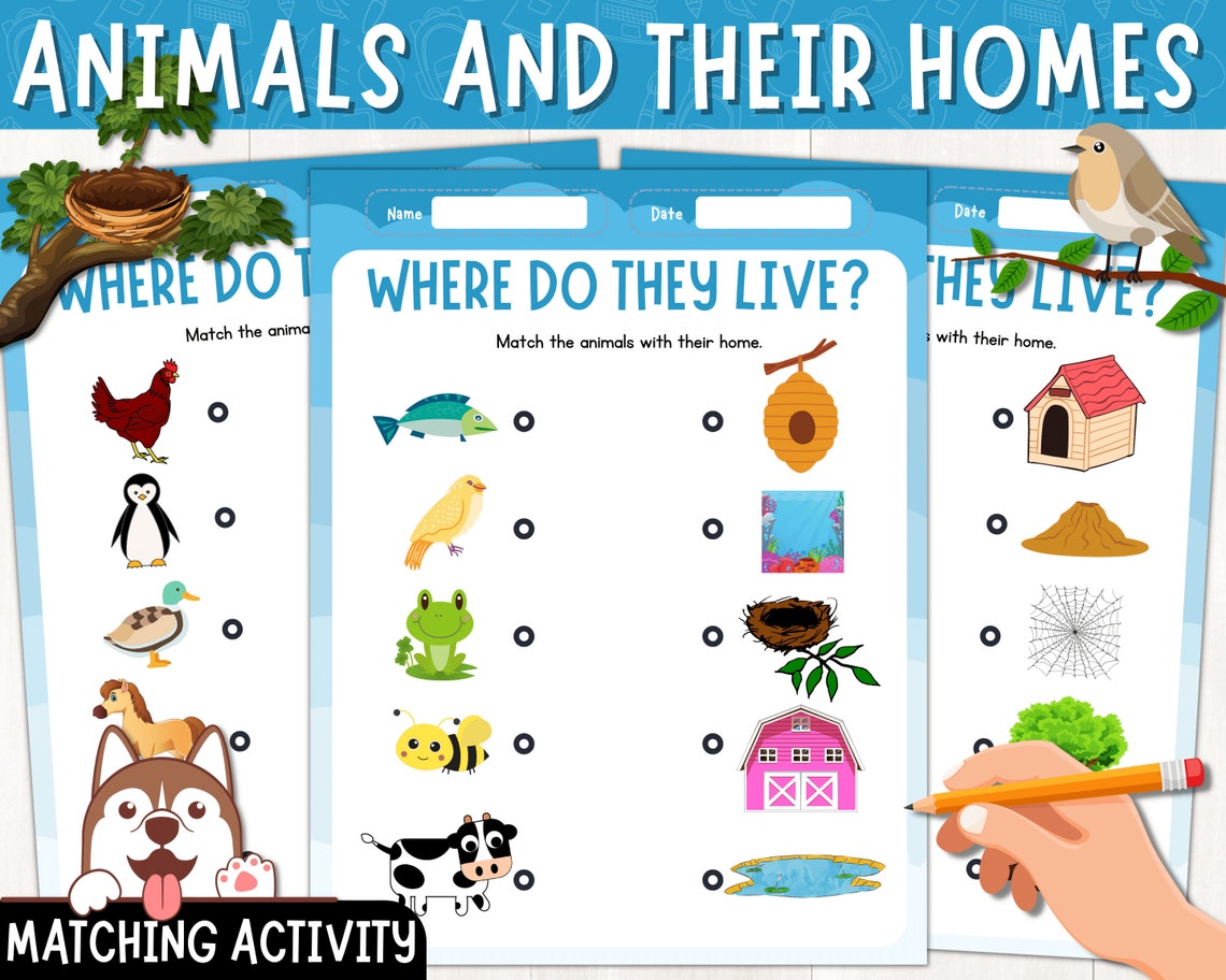 Animals and Their Homes Matching Activity, Animals Printable Worksheets ...