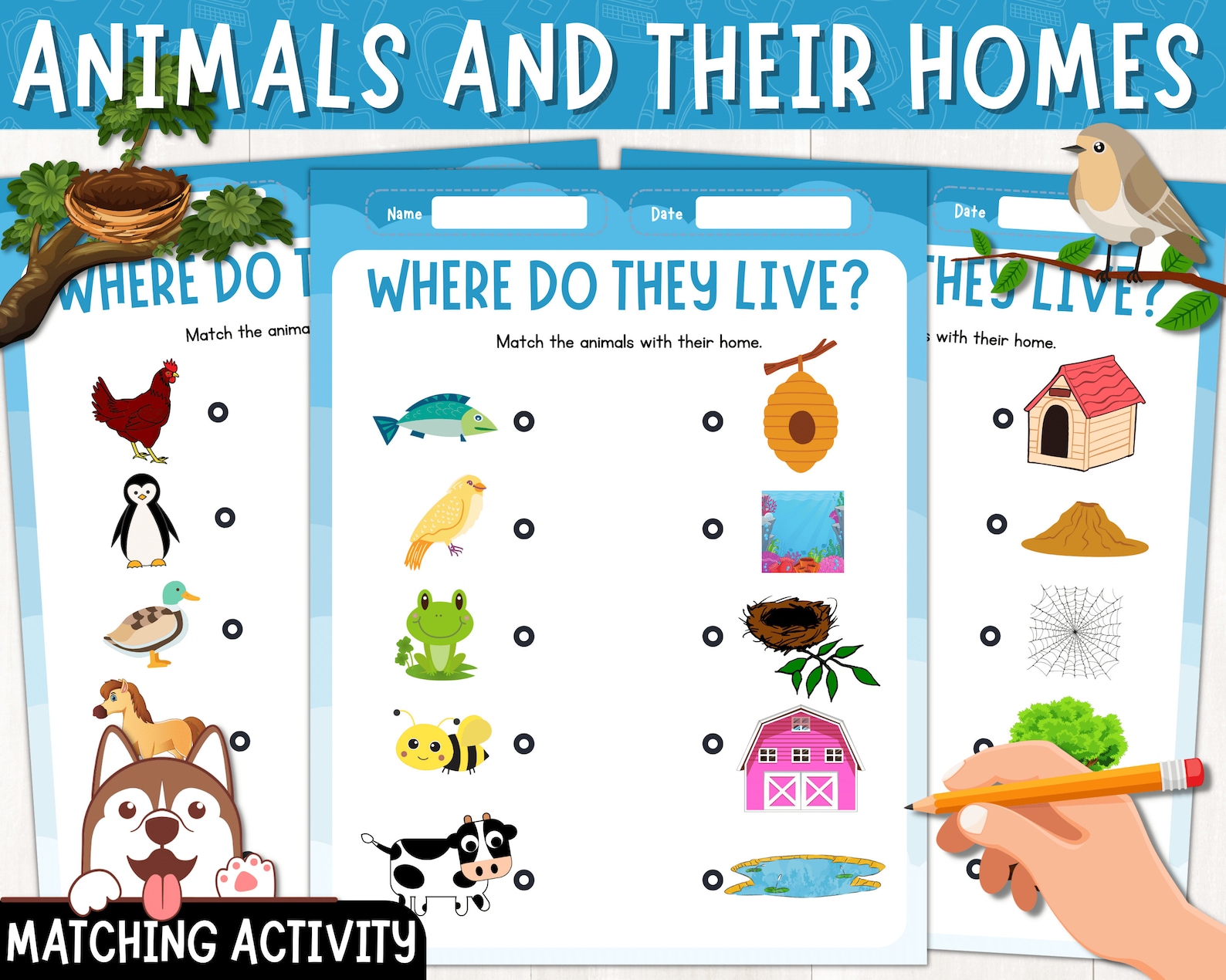 Animals and Their Homes Matching Activity, Animals Printable Worksheets ...