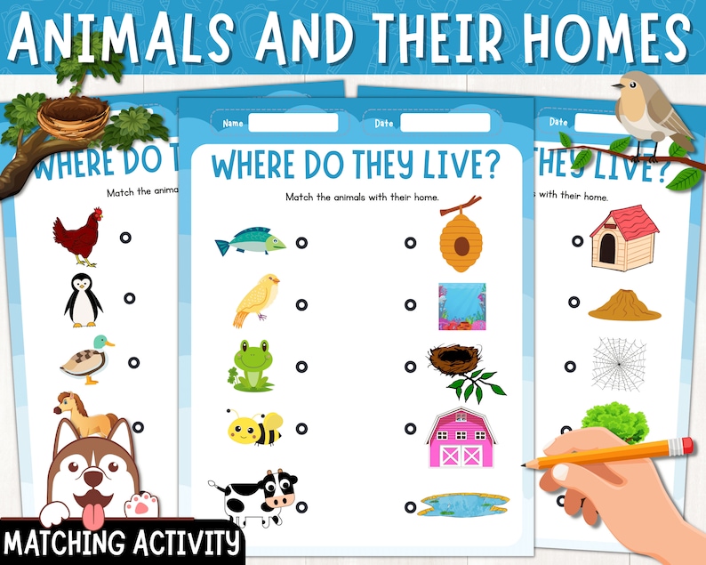 Animals and Their Homes Matching Activity, Animals Printable Worksheets ...