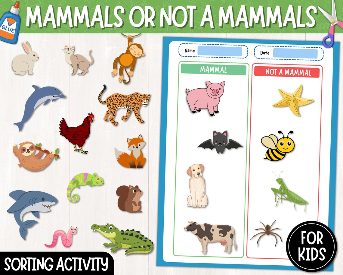 Mammal Vs. Not a Mammal Picture Sort Animals Sorting Activity Animal ...