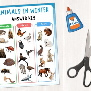 Animals in Winter: Hibernate, Migrate, and Adapt | Animals Sorting ...