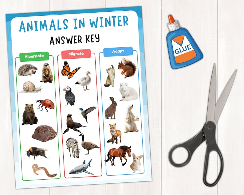 Animals in Winter: Hibernate, Migrate, and Adapt | Animals Sorting ...
